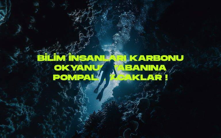 Bilim İnsanlarından Radikal Plan: Karbonu Okyanus Tabanına ...